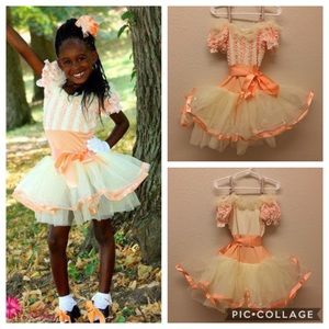 Costumes | Dansco Dance Costume | Poshmark